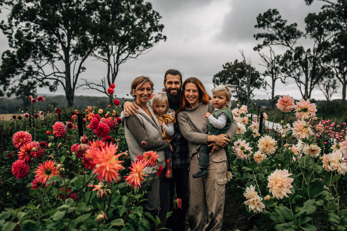 Everbloom 2025 releases – Tagged "Everbloom" – New View Farmers